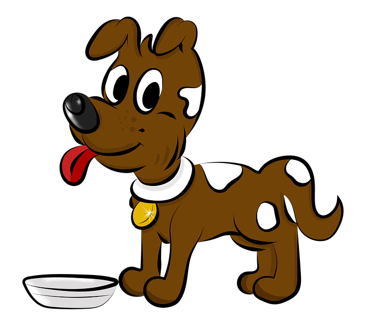 La emotiva despedida de Ronald Pais a su fiel amigo “Ringo” - Sociedad ...