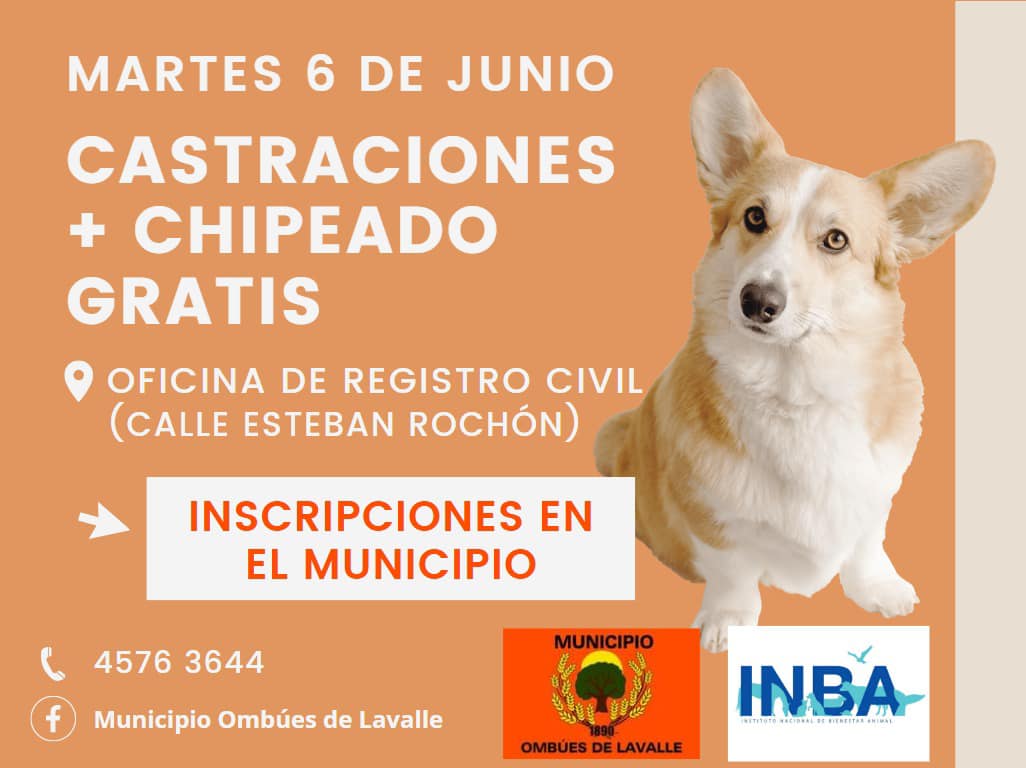 Castraciones + Chipeado en Ombúes de Lavalle - Sociedad Uruguaya