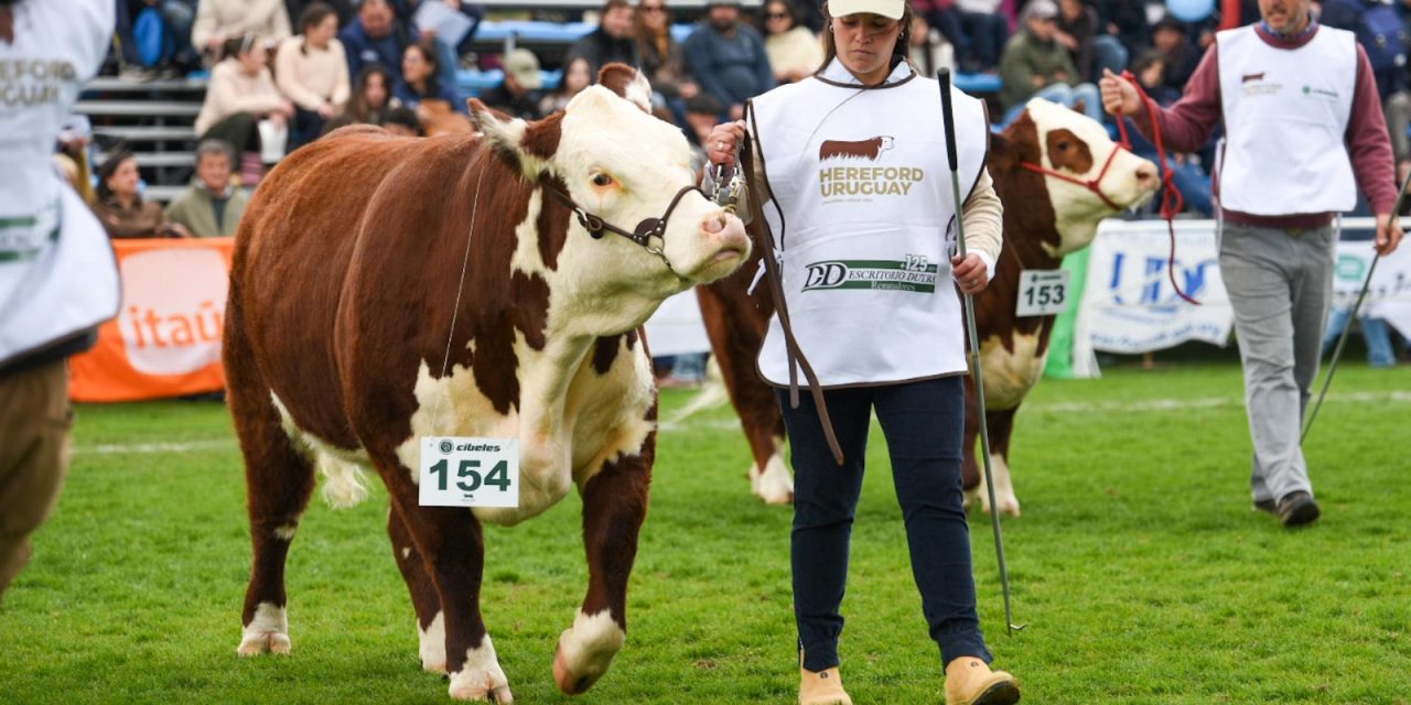 Gran Cabaña UTU demuestra nivel genético de excelencia con cinco ...